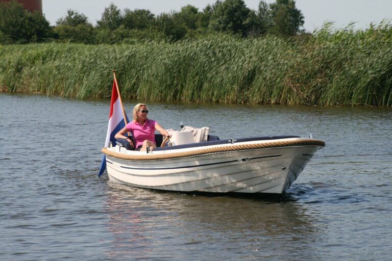 Oud model: Antaris 520 % - Antaris